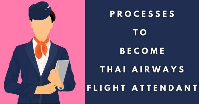 How To Become A Thai Airways Flight Attendant Salary Requirements